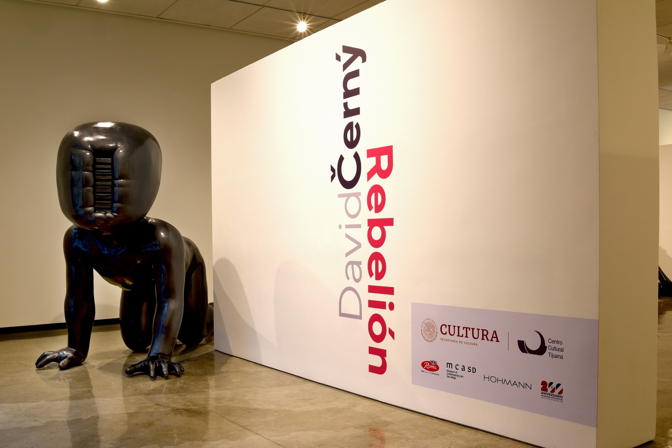 David Cerny Museum Show now open